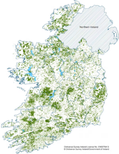 What The Hell Happened To Ireland’s Forests? - District Magazine