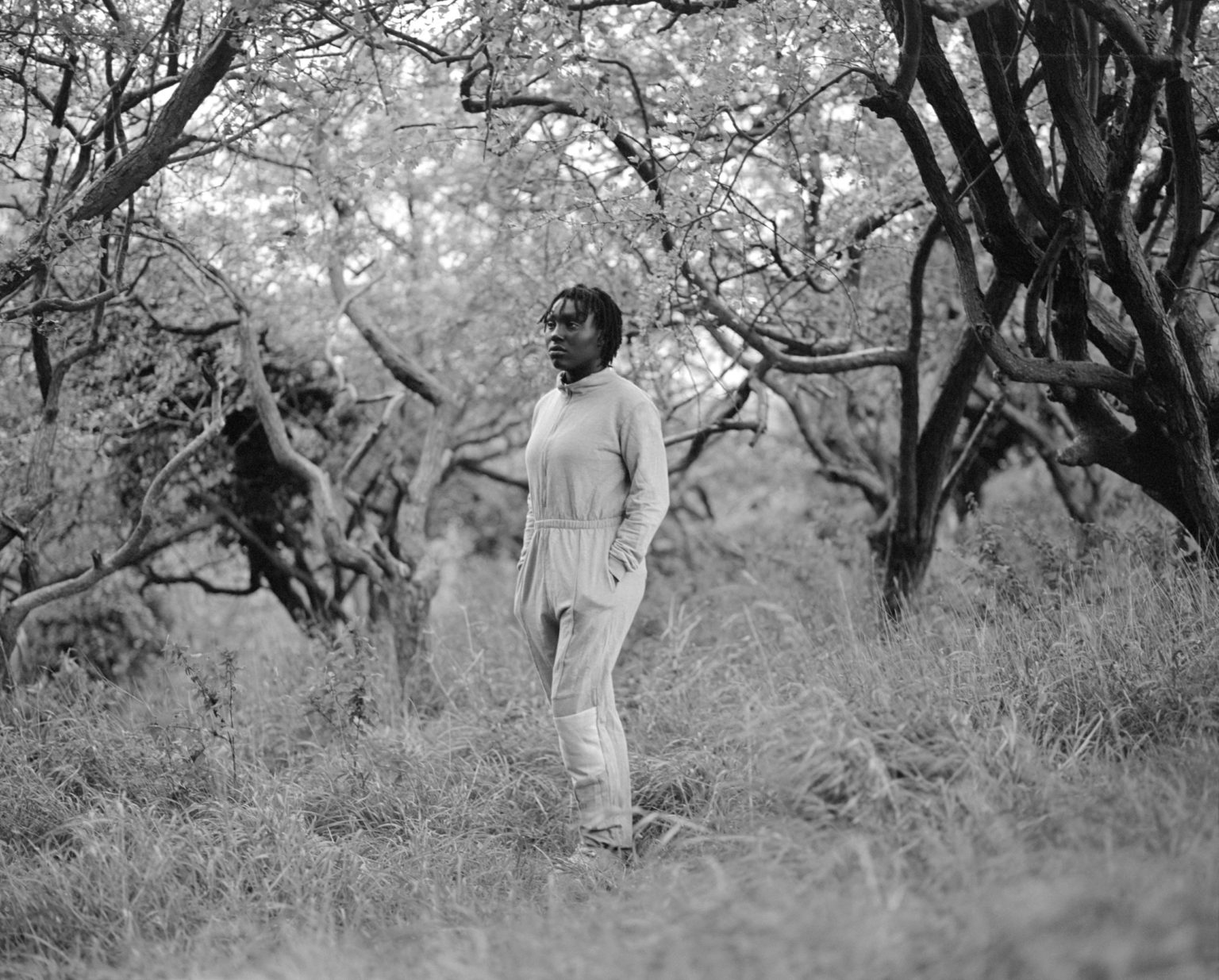 Premiere: They, a film about race and identity through poetry ...