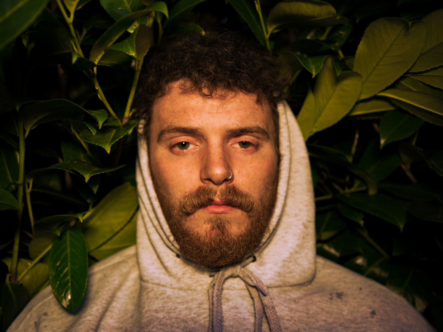 Listen to Citrus Fresh’s debut album ‘Operating System’ - District Magazine