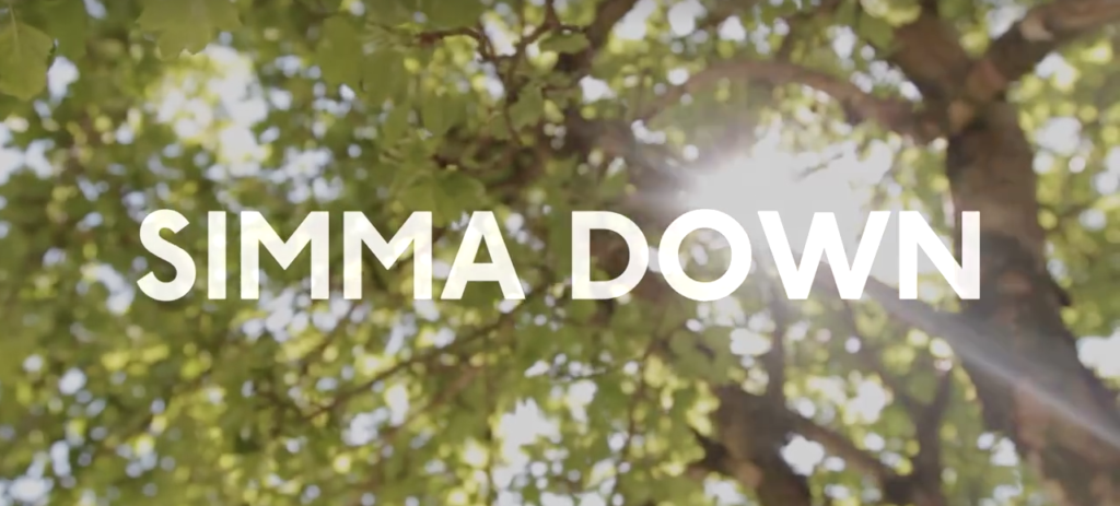 Sim Simma announce full details of Simma Down mini-festival - District Magazine