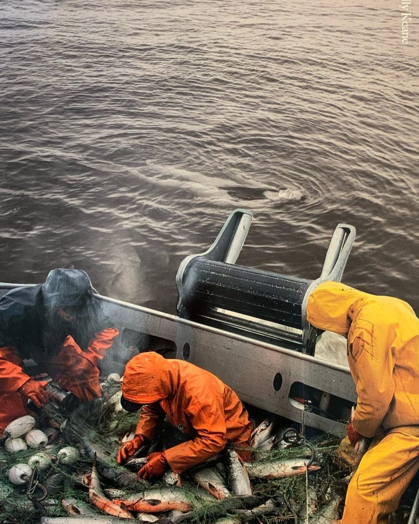 Dublin artist Sorcha O’Higgins is hosting a collage and cocktails event ...