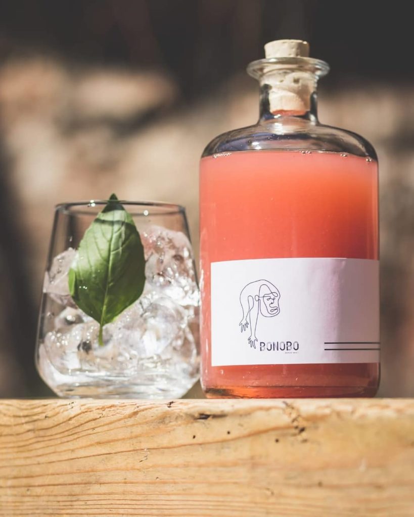 Bonobo Sister Bar to open in Rathmines - District Magazine