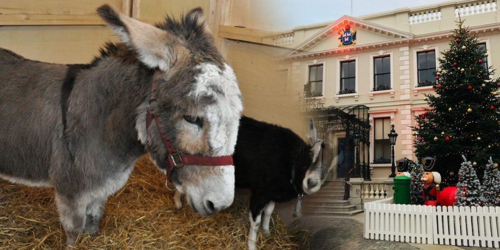 Fine Gael are campaigning to bring the live-animal Nativity crib back ...
