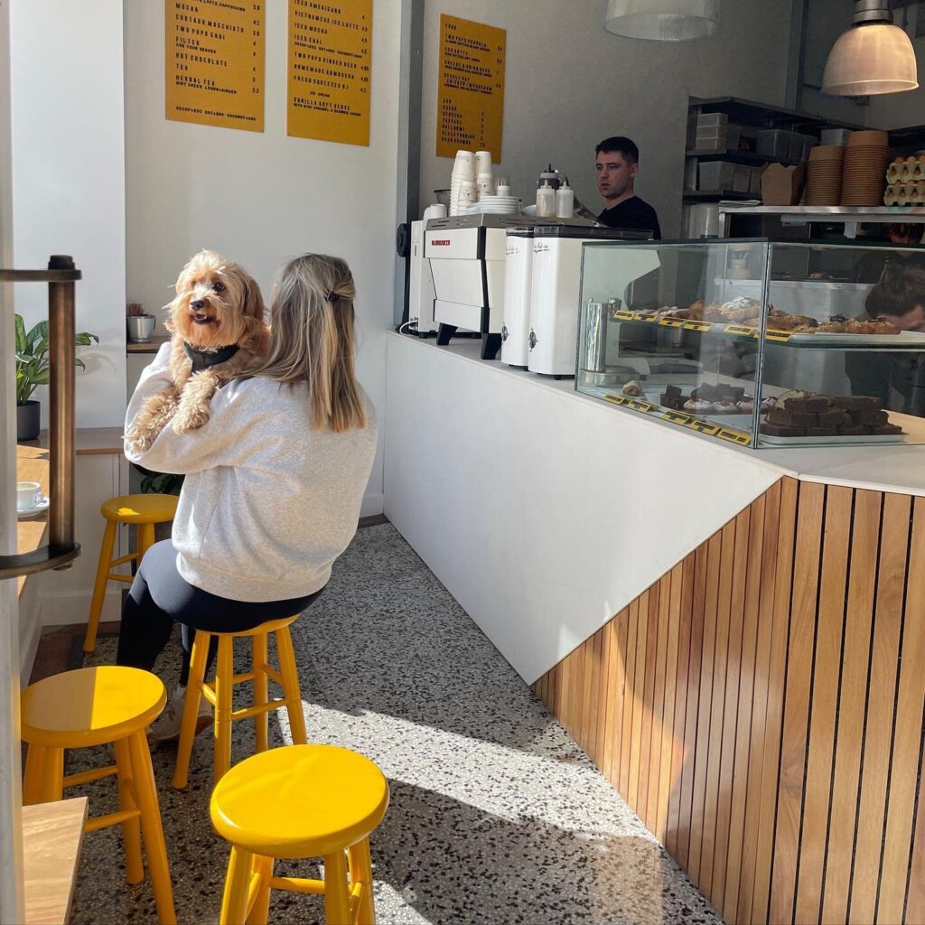 Two Pups gets a Northside Location - District Magazine