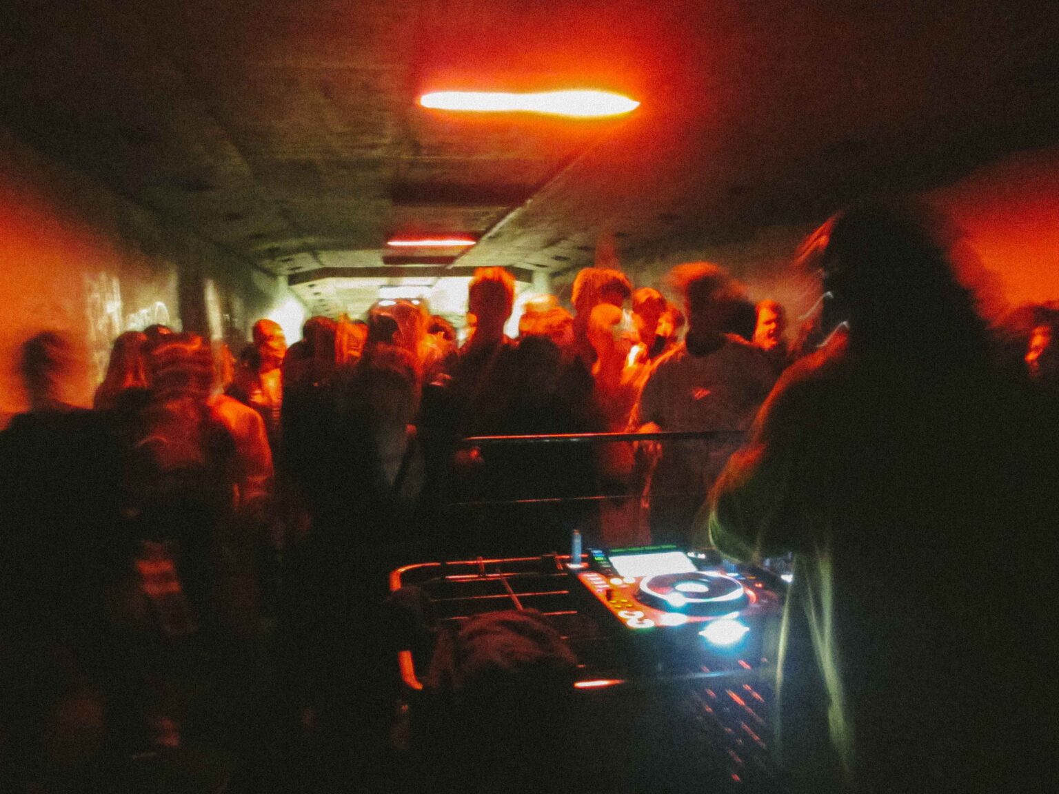 These Irish Climate Activists Are Raving Against Deforestation ...